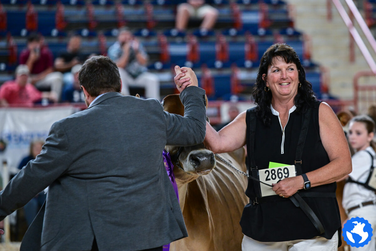 Mid Atlantic Jersey Show 2025