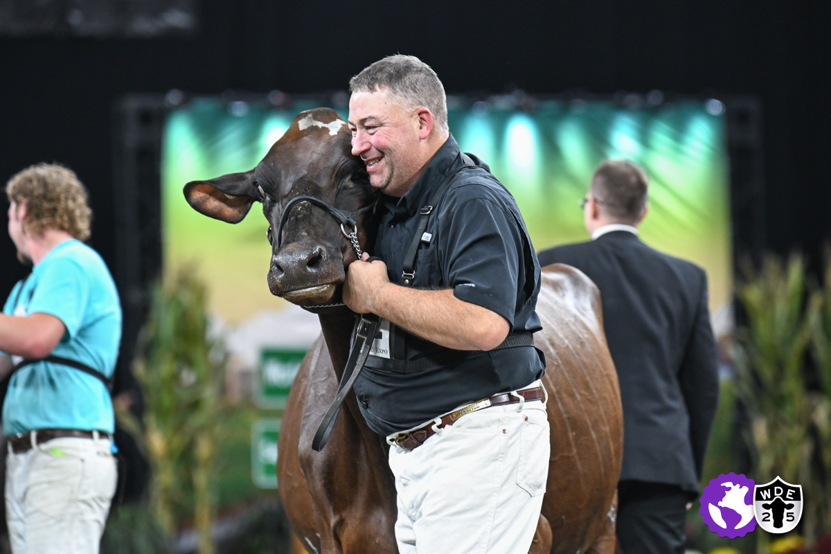 International Ayrshire Show 2025