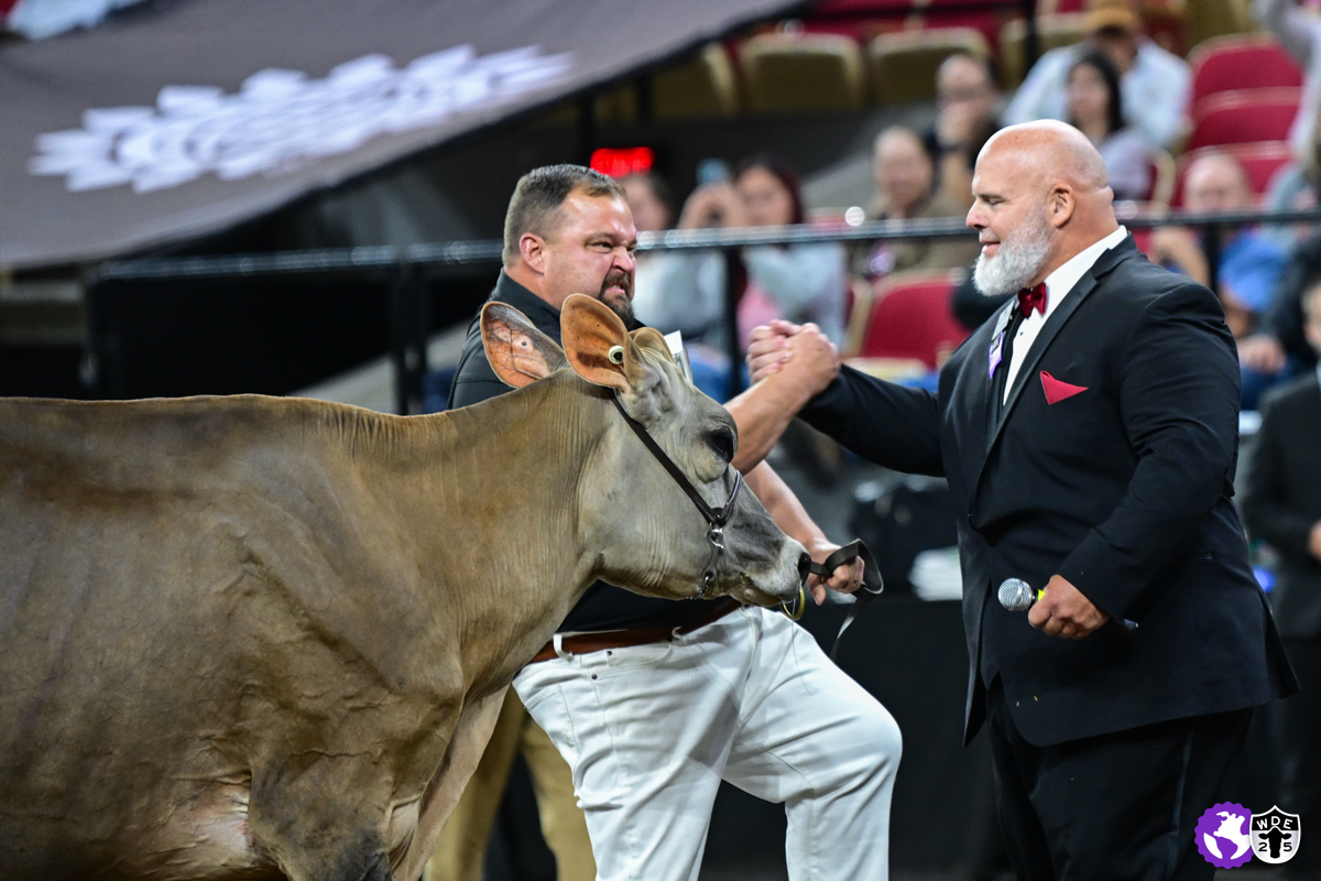 Shows & Sales Archive - Cowsmo