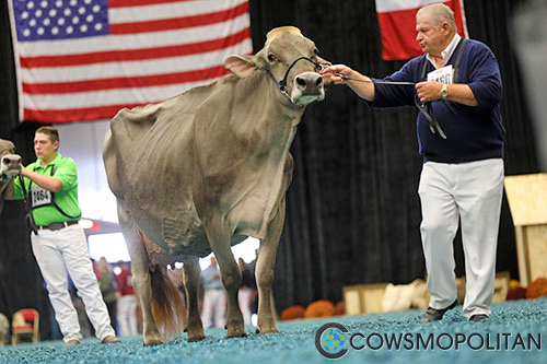 Wayne Sliker Obituary