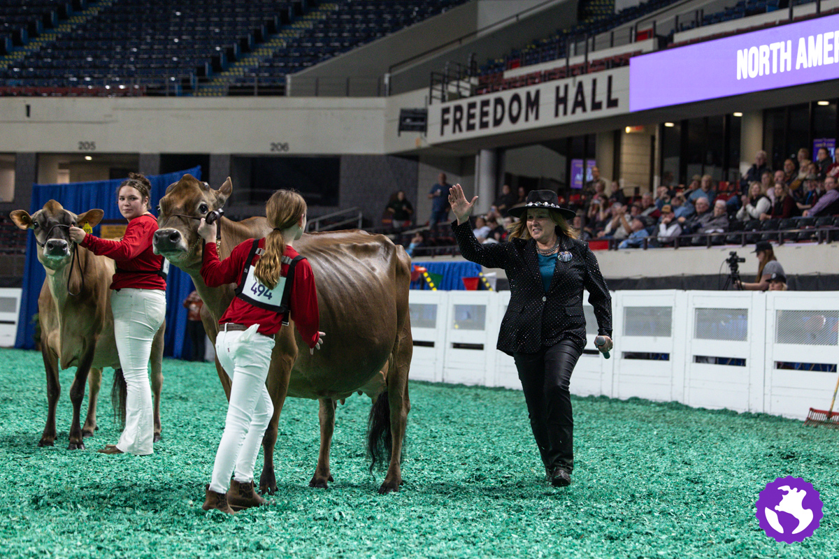 All American Junior Jersey Show 2025