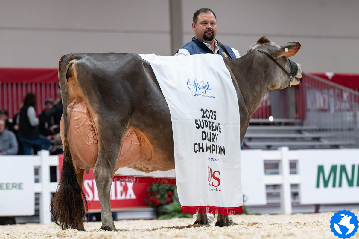 Royal Agricultural Winter Fair 2025