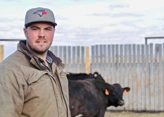 Creating A ‘Luxury’ Meat From Beef-On-Dairy System - Cowsmo